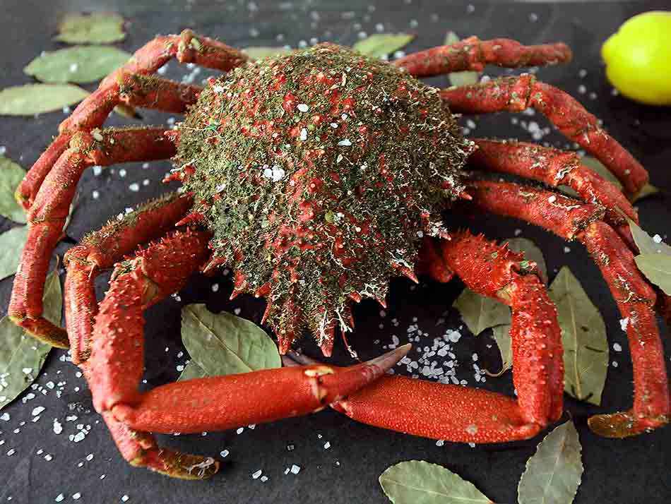 Comprar Centolla Gallega Mejor Precio | Galicia MariscoⓇ