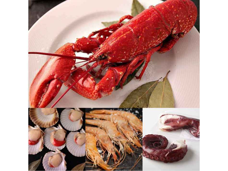 Mariscada Gallega A Domicilio Comprar - Galicia MariscoⓇ